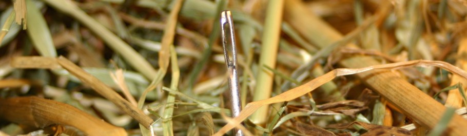 guided-searches-main – Alphinat | EN